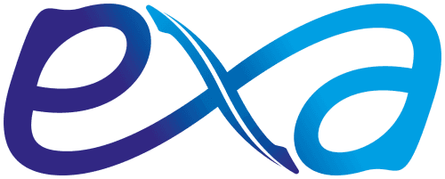 Exa Networks - Status